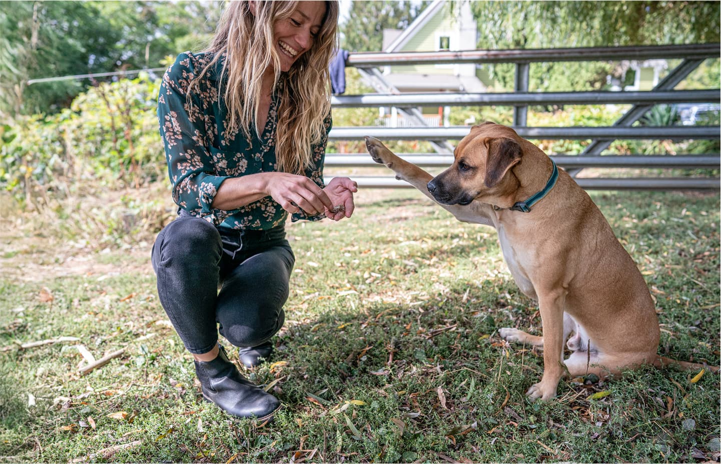 The Best Dog Training Near You | Rover.com