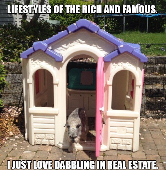 The Dog Days of Summer: dogs whose summer plans are sweeter than yours