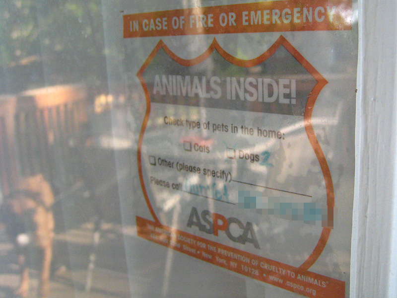 Recognizing animal cruelty, and what to do about it