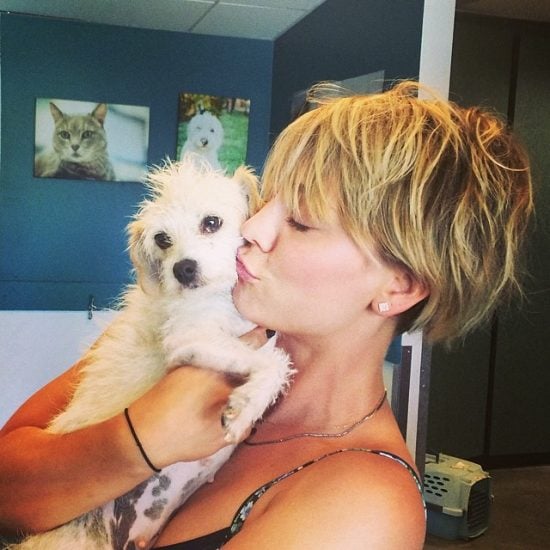 A dozen dog-loving celebs you should follow on Instagram | The Dog ...