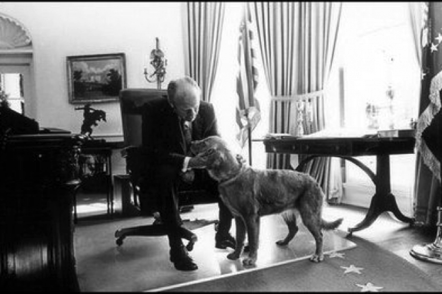 Presidential dogs from Kennedy to Obama - Rover.com blog