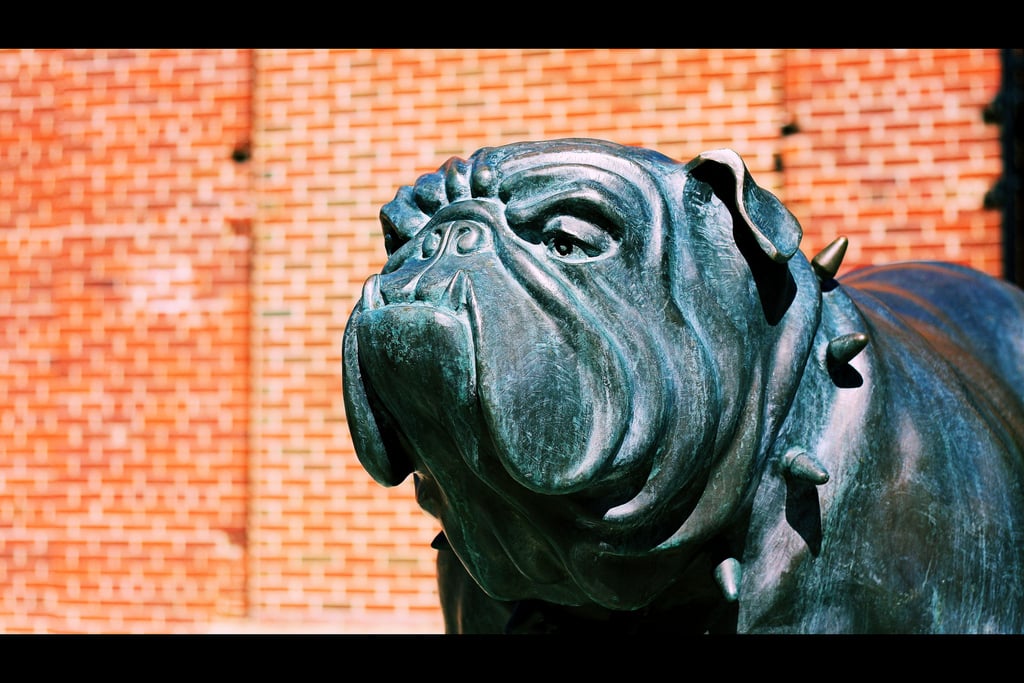 Dog Mascots | The Most Iconic Dog Mascots of All Time