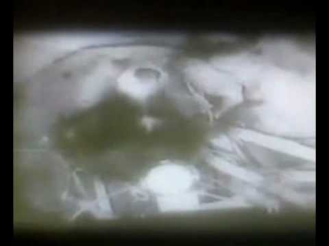 The True Story of Dogs in Space | Rover Blog