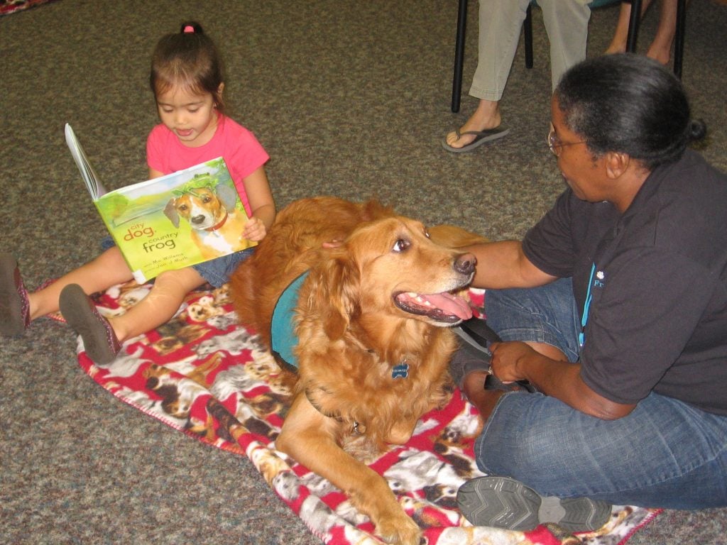 How Service Dogs Help Kids Learn to Read | The Rover Blog