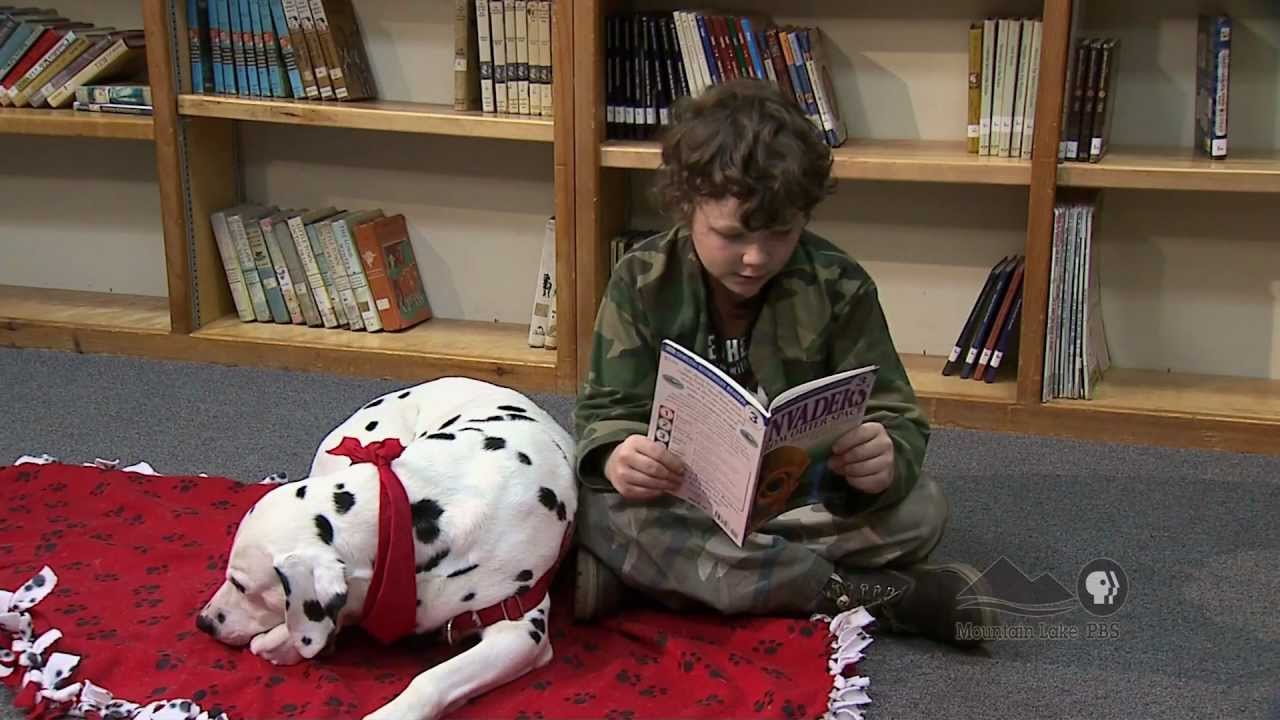 How Service Dogs Help Kids Learn to Read | The Dog People by Rover.com