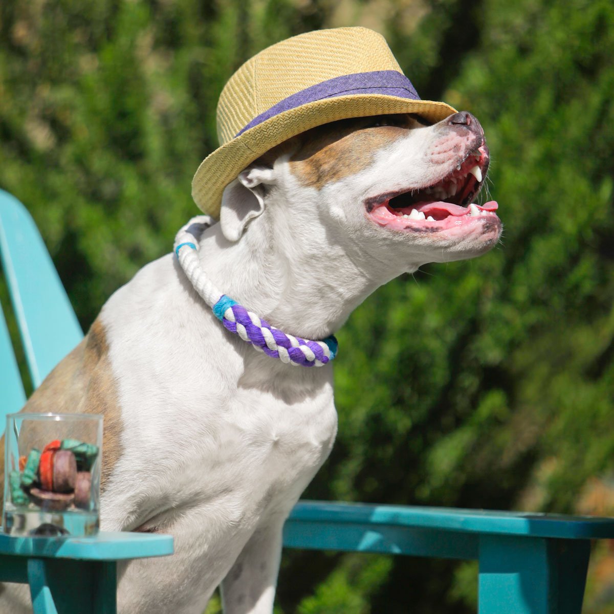 Fearless and Fashionable—Puka is Your Homie | Rover Blog