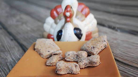 7 DIY Thanksgiving Dog Treat Recipes | The Dog People by Rover.com