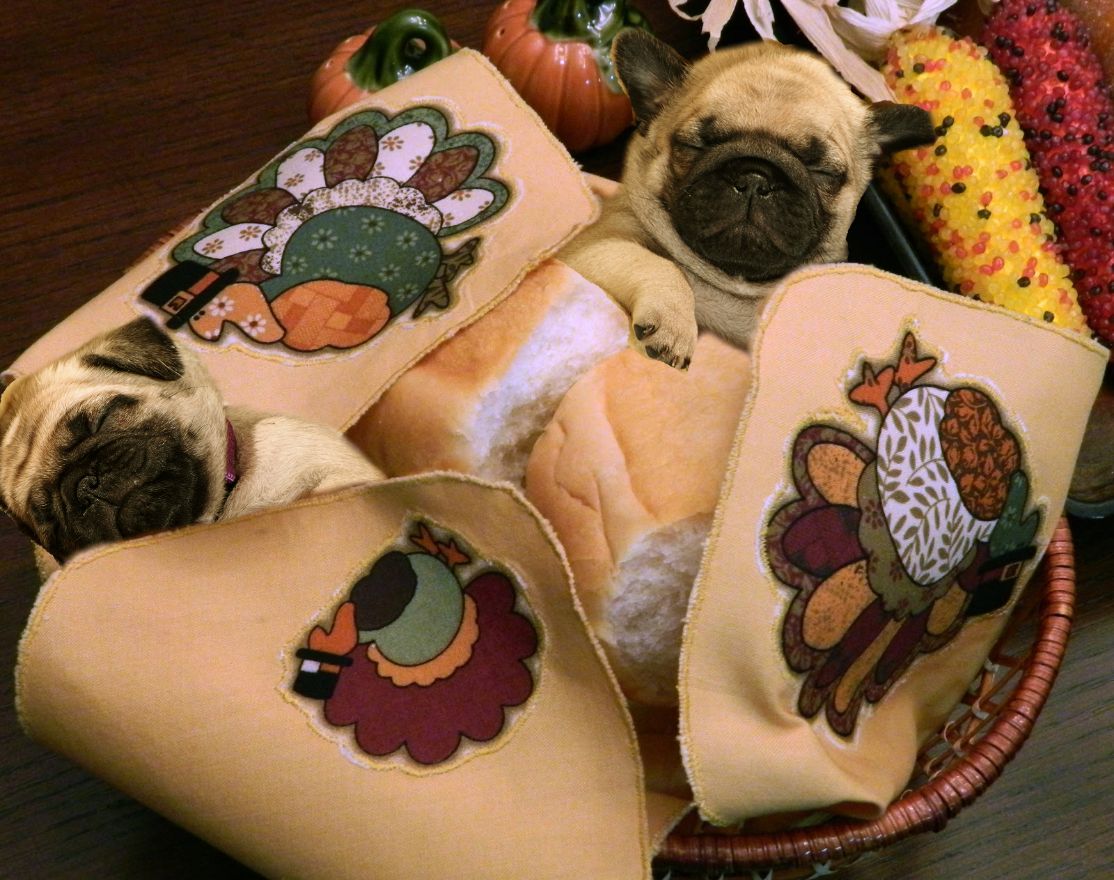 9 Dogs That Look Like Thanksgiving Dinner | The Dog People by Rover.com