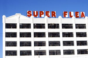 The Real Story Behind the "Super Flea" and What You Can Do About It ...