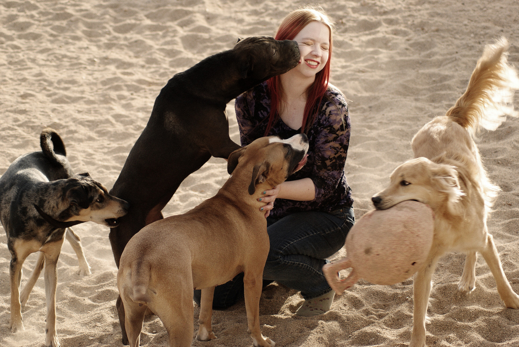 How Do I Bond With My Rescue Dog