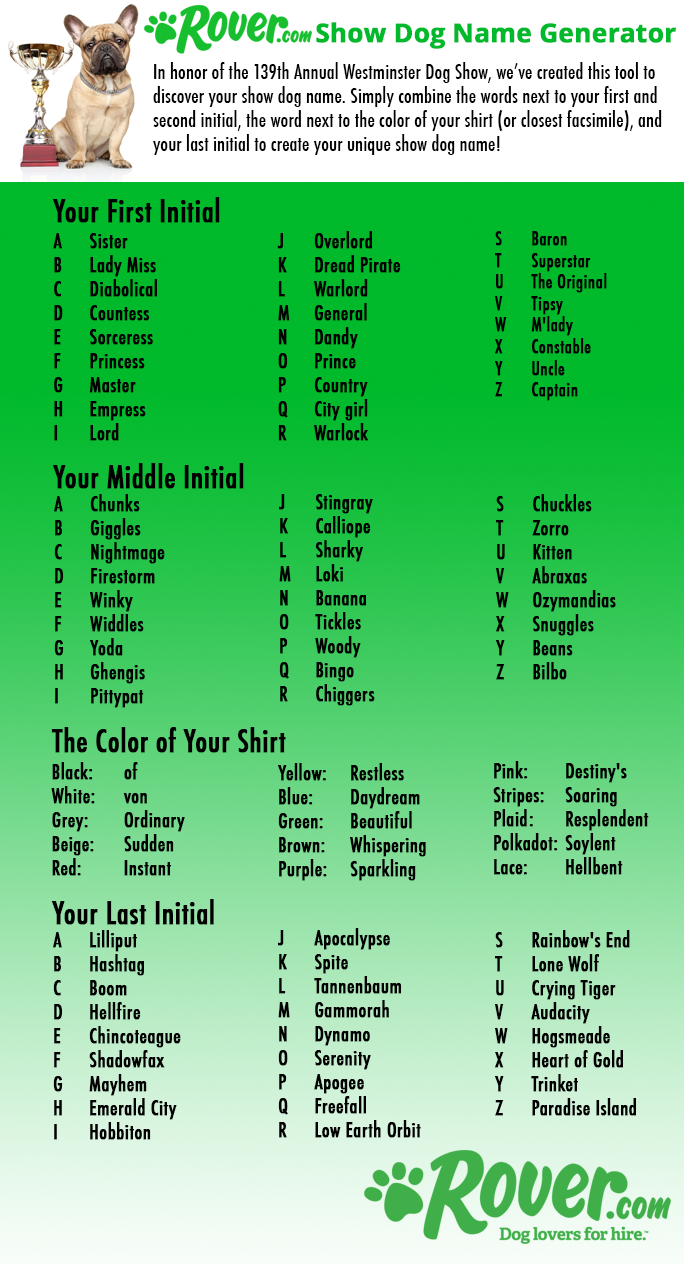 What s Your Secret Show Dog Name Rover Blog What s Your Secret Show Dog Name Rover Blog