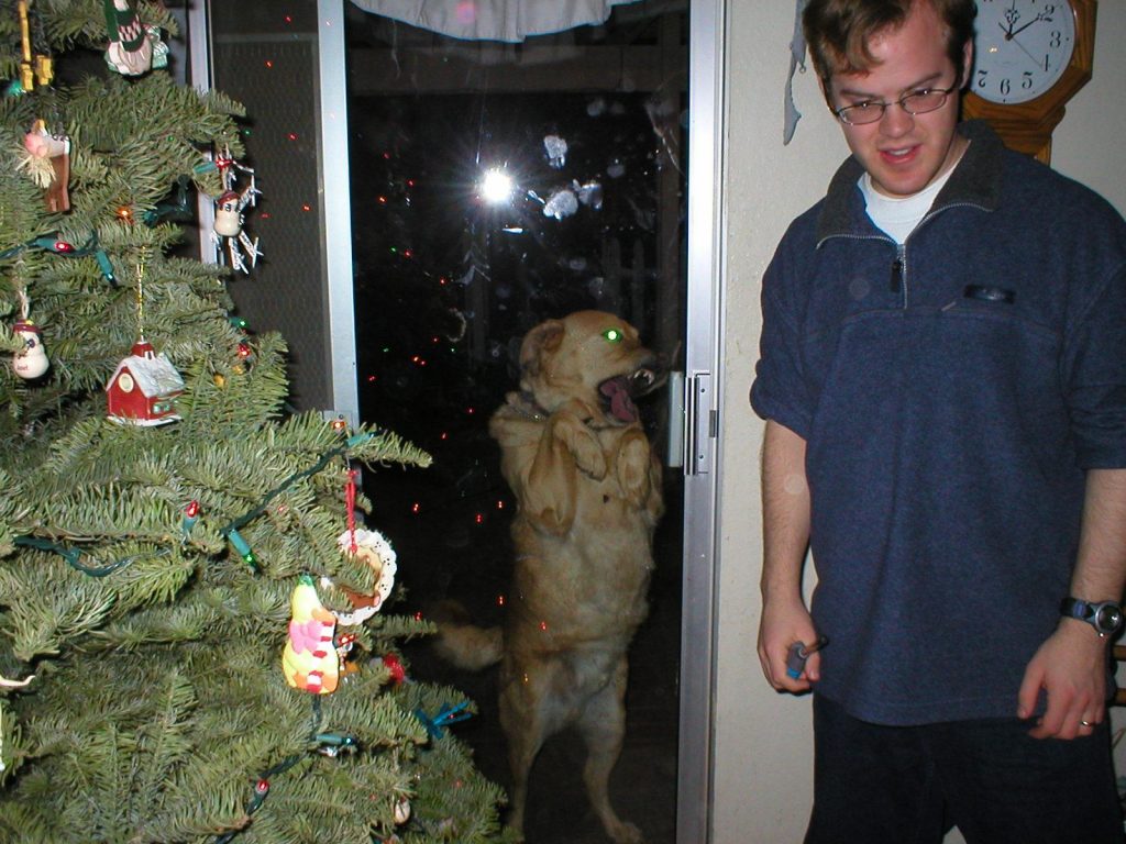 14 Hilarious Dog Photobombs | Rover Blog