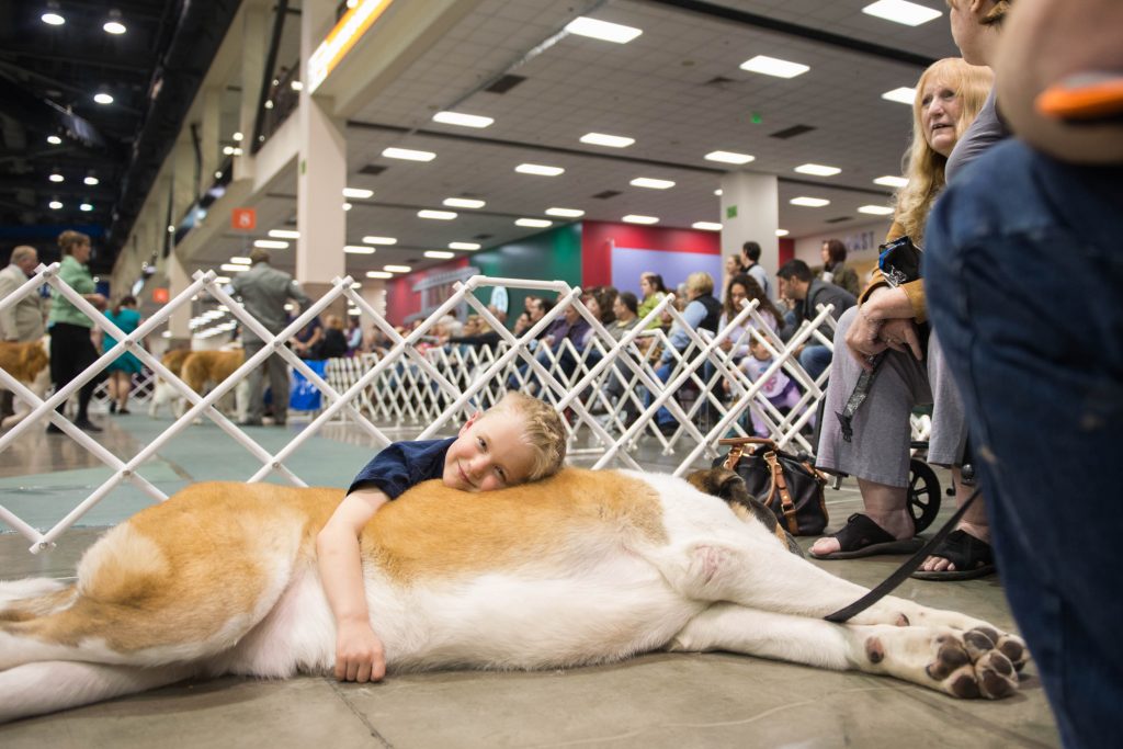 Scenes from the 138th Annual Seattle Kennel Club Show | The Dog People ...