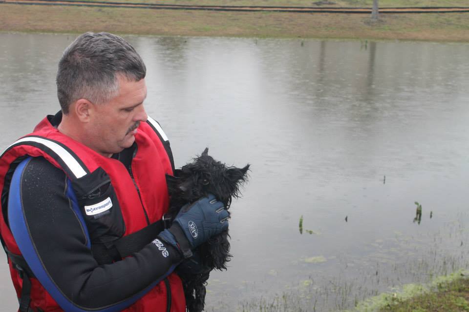 10 Heroic Stories of Humans Saving Dogs | The Dog People by Rover.com