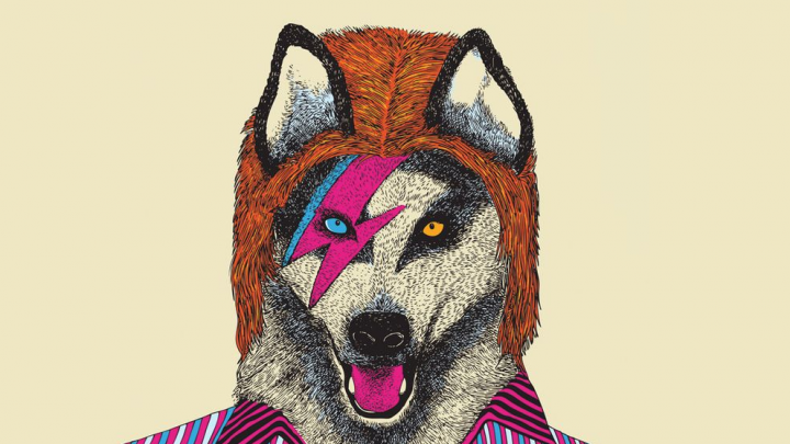 11 Gorgeous Dogs With Different Colored Eyes | The Dog People by Rover.com