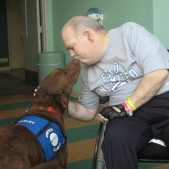5 Ways Service Dogs Help People with Cancer | The Dog People by Rover.com