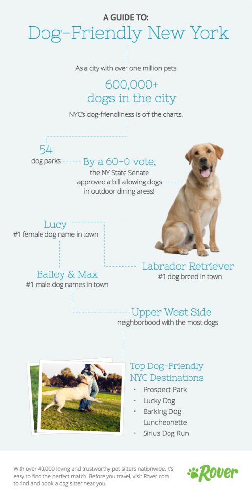 The Ultimate Guide for New York Dogs | The Dog People by Rover.com