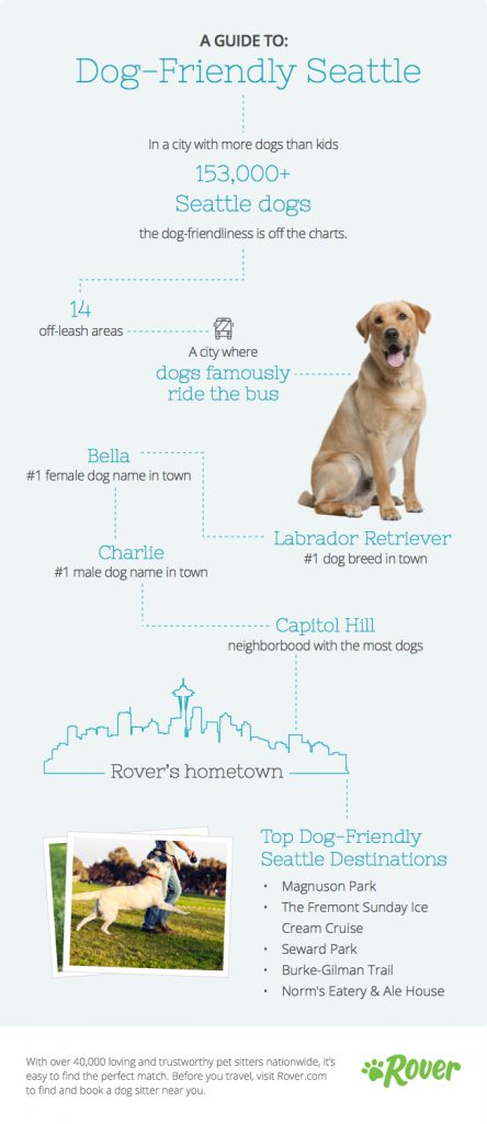 The Ultimate Guide for Seattle Dogs | The Dog People by Rover.com