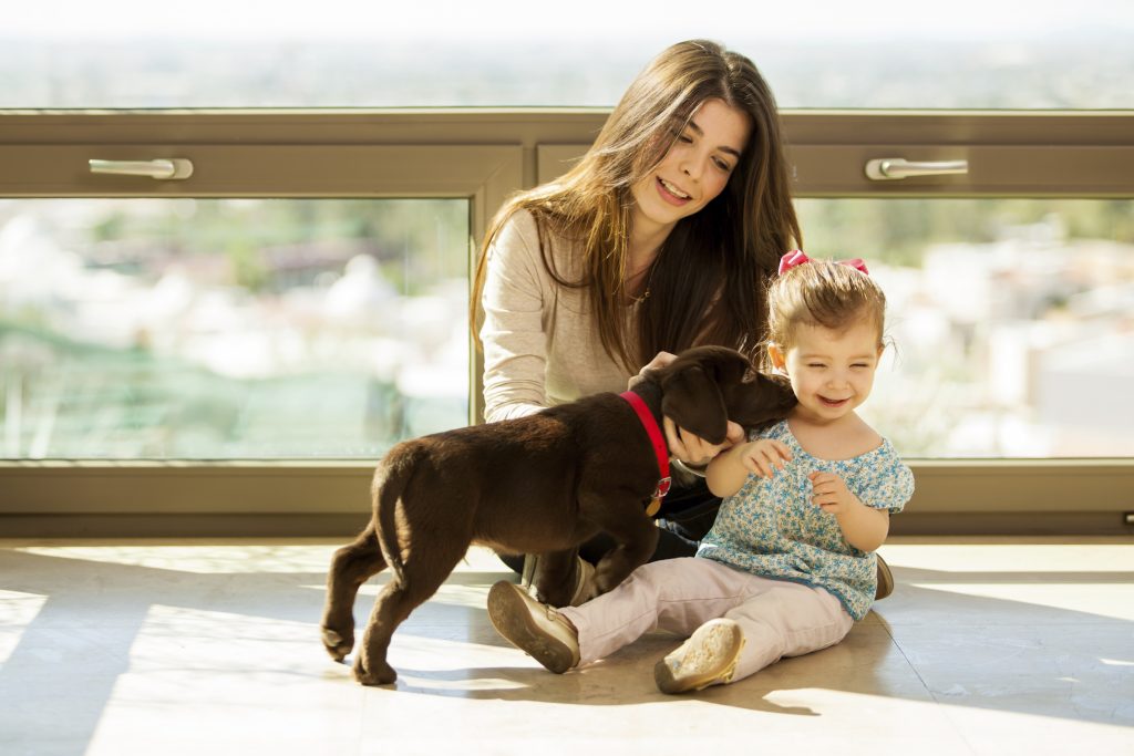 How to Keep Interactions Between Dogs and Kids Safe | The Dog People by ...
