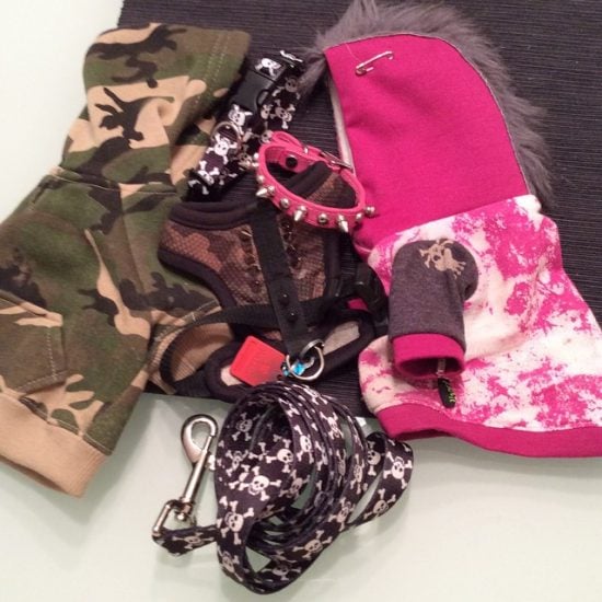 15 Bad Ass Dog Costumes for Punk Rock Day | The Dog People by Rover.com