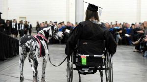 8 Adorable Puppy Cams To Obsess Over | The Dog People by Rover.com