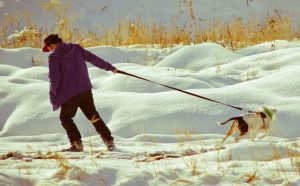 Loose Leash Walks: 4 Tips to Taking the Perfect Stroll