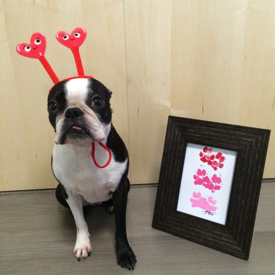 We Tried 9 DIY Valentine's Crafts with Our Dogs—Here's What Happened ...