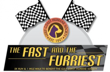 Dog-Friendly Races: Our Top Picks in the United States