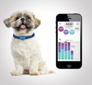 Dog Tech: 5 Life-Changing Advances You Need Today