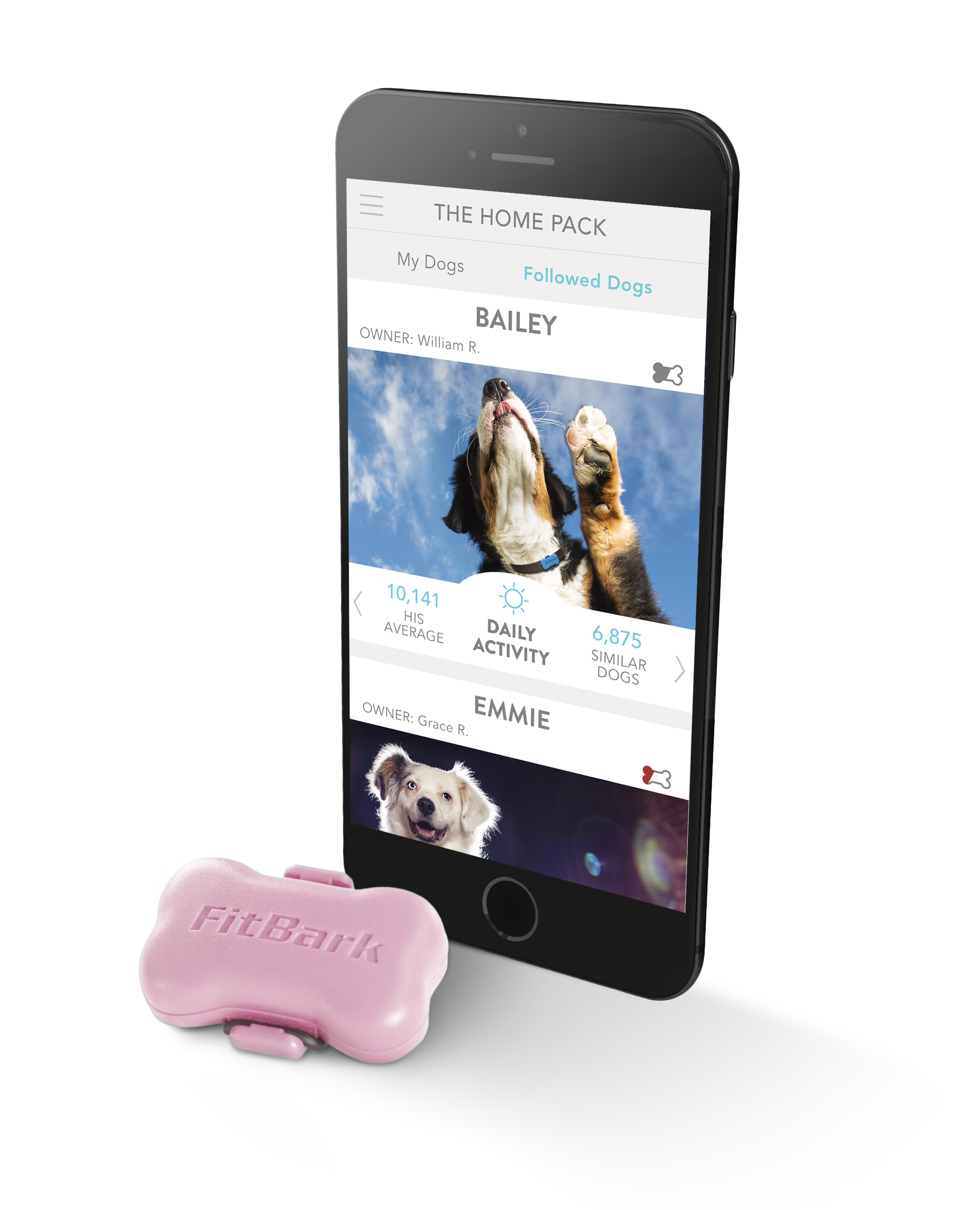 How These 5 Advances in Dog Tech Could Change Your Life | Rover.com