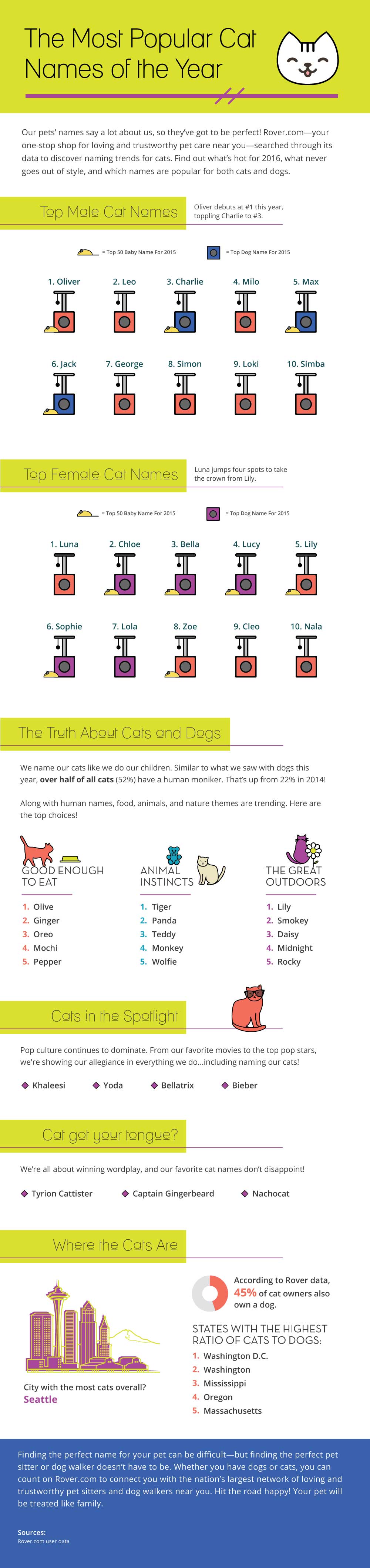 The Most Popular Cat Names Of The Year The Dog People By Rover The Most Popular Cat Names Of The Year The Dog People By Rover