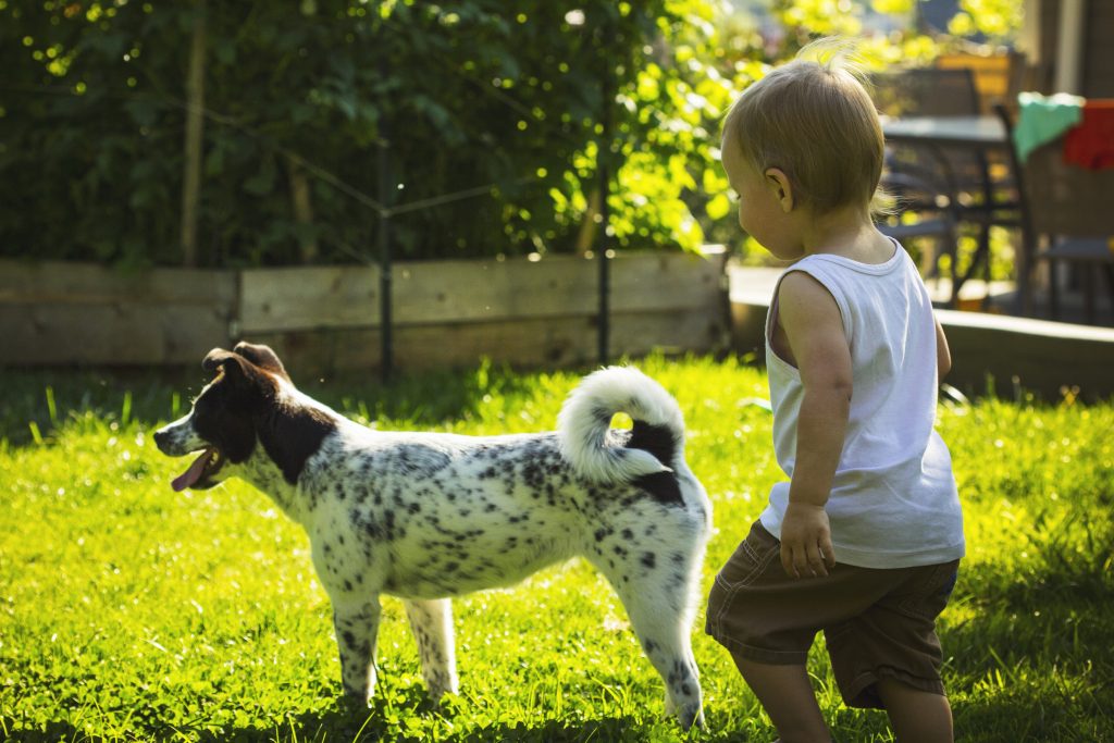 Kids & Puppies are the Same: Here are 16 Reasons Why