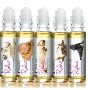 Dog Aromatherapy: Another Calming Tool for a Happier Canine