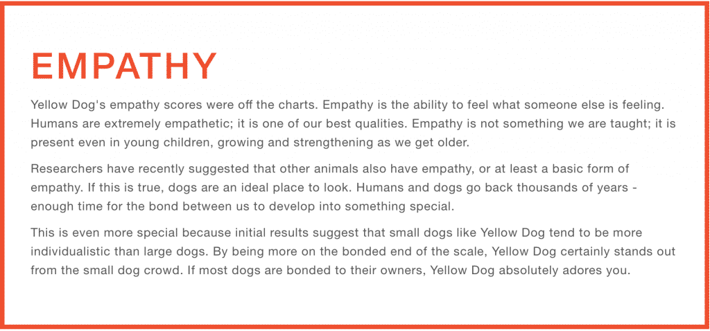 Dognition Review: We Tried this Dog Intelligence Test to Find Out if it ...