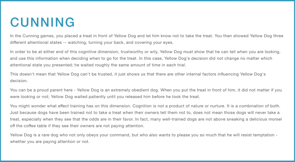 Dognition Review: We Tried this Dog Intelligence Test to Find Out if it ...