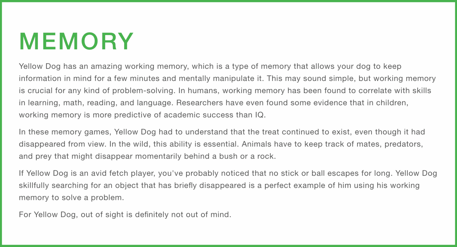 Dognition Review: We Tried this Dog Intelligence Test to Find Out if it ...