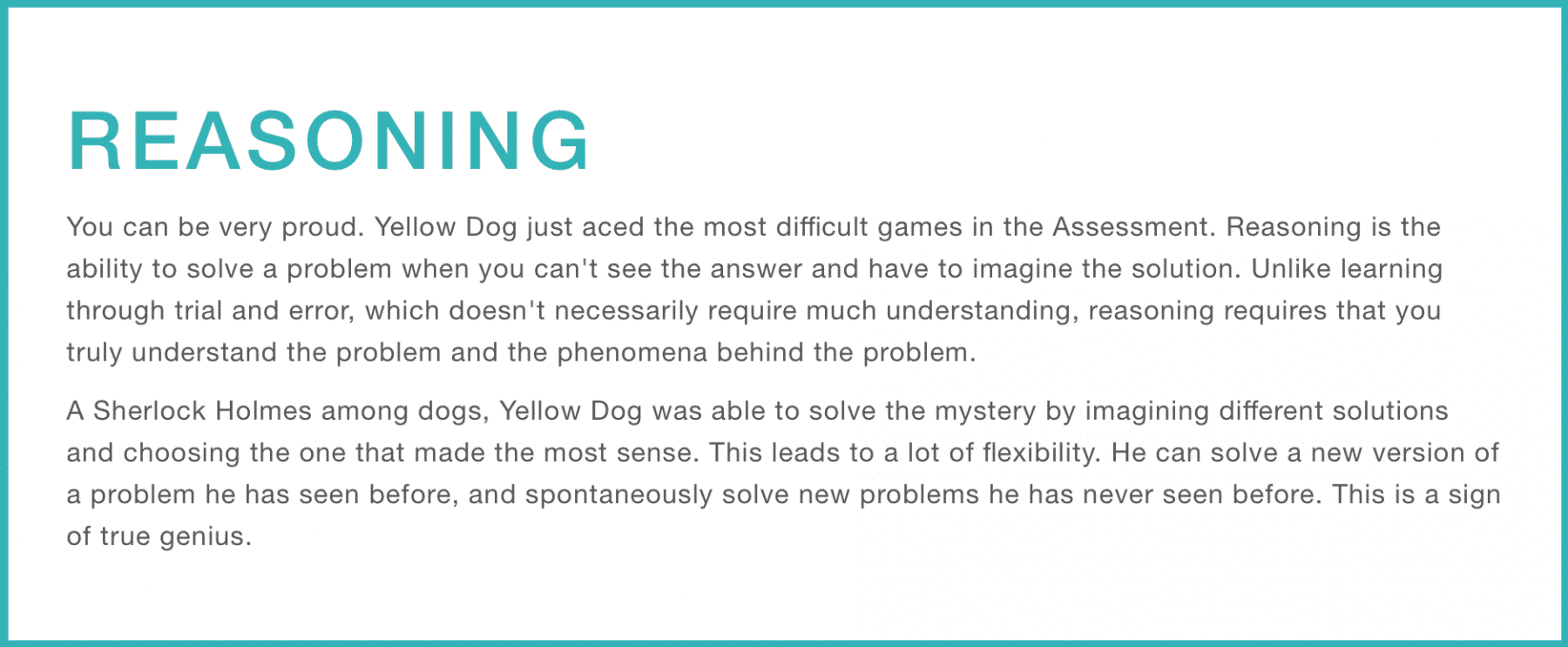 Dognition Review: We Tried this Dog Intelligence Test to Find Out if it ...