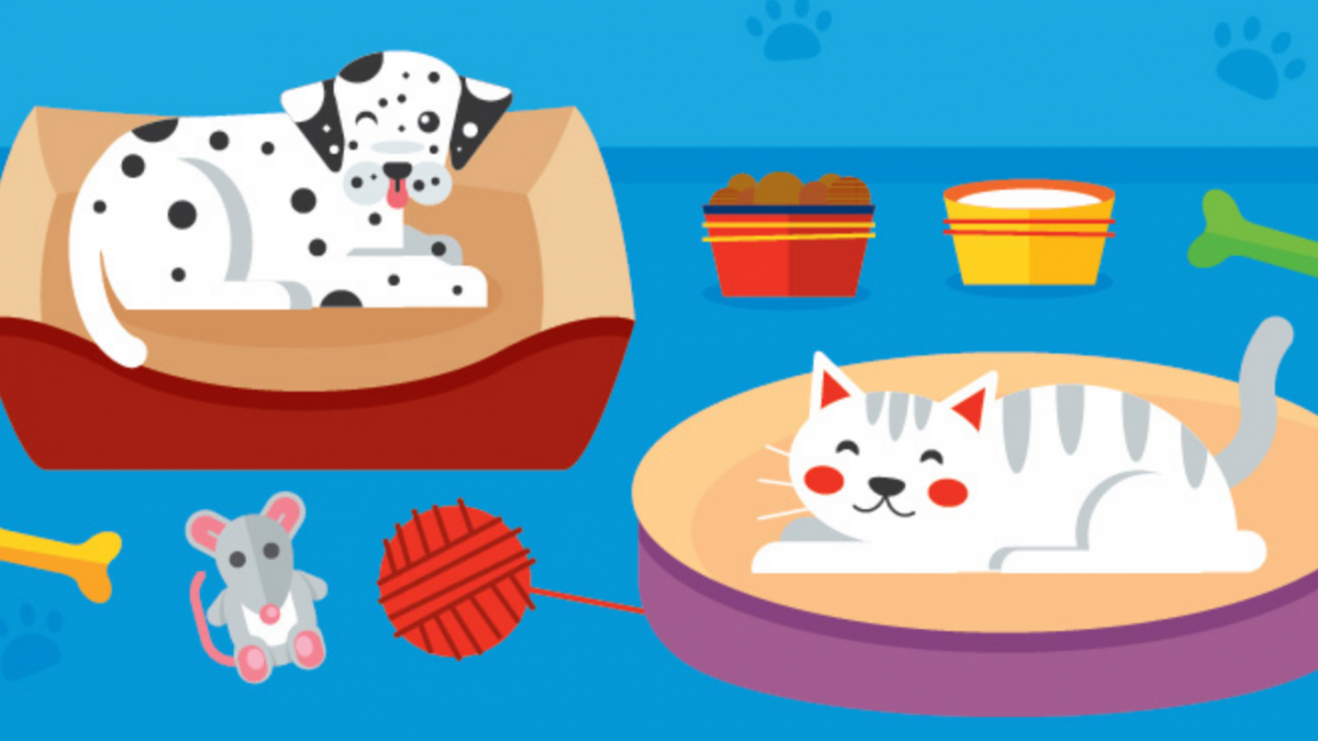 Keep or Toss? The Lifecycle of Your Pet's Beds, Bowls, Crates, and Toys ...