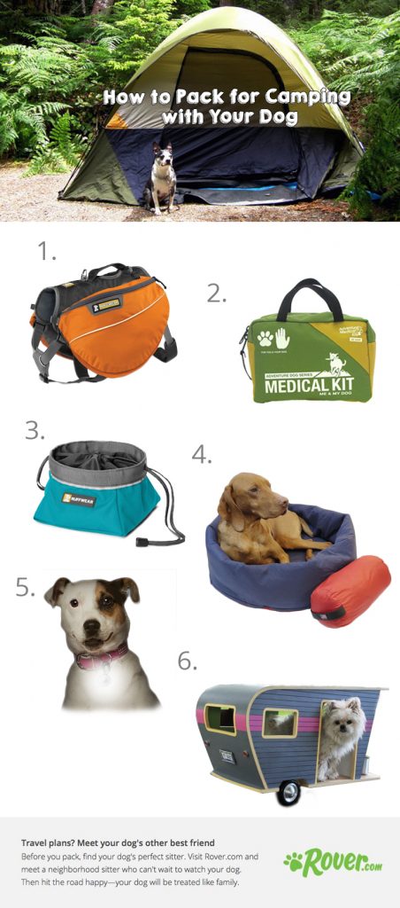 How to Pack for Camping With Your Dog | The Rover Blog