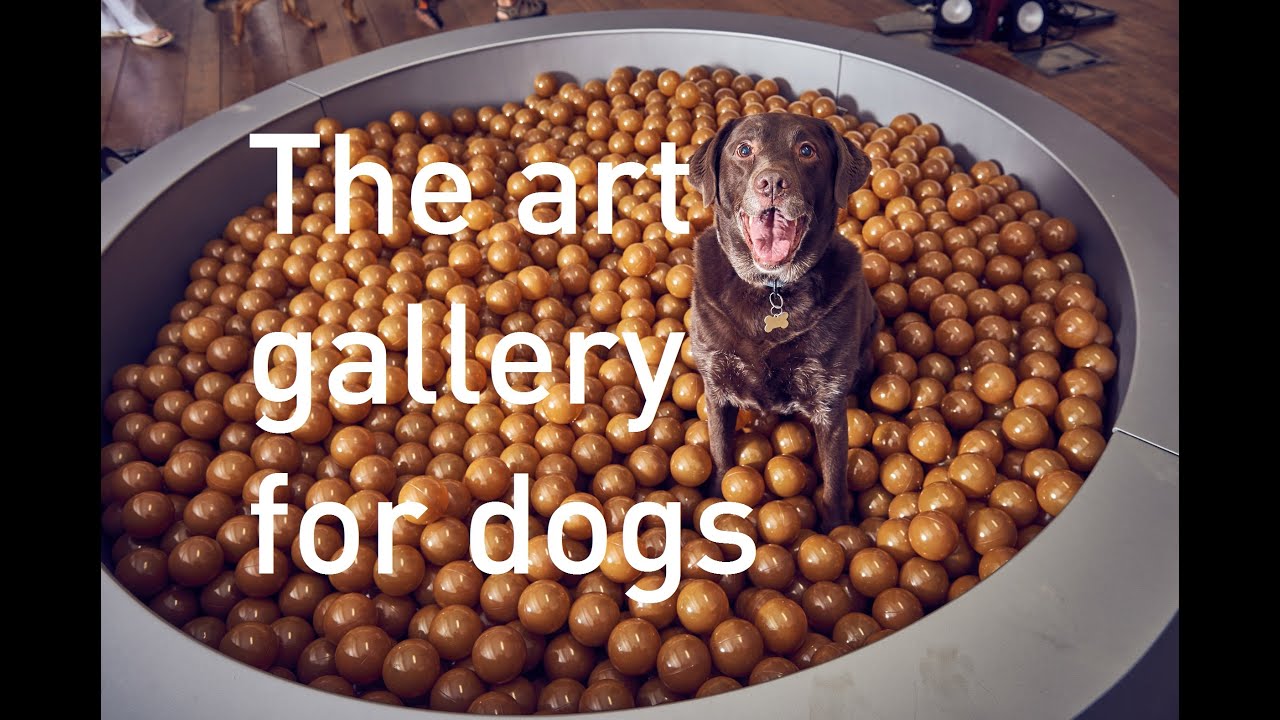 London Exhibit Is First Art Show Created Just For Dogs The Dog People
