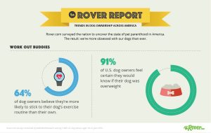 Rover Trends Report Reveals the State of Dog Ownership in America | The ...
