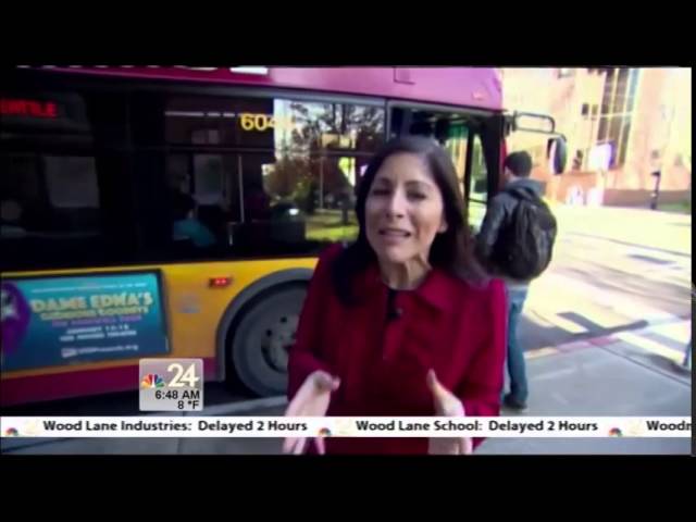 Permission to Ride: A Guide to Dog-Friendly Public Transportation | The Dog People by Rover.com