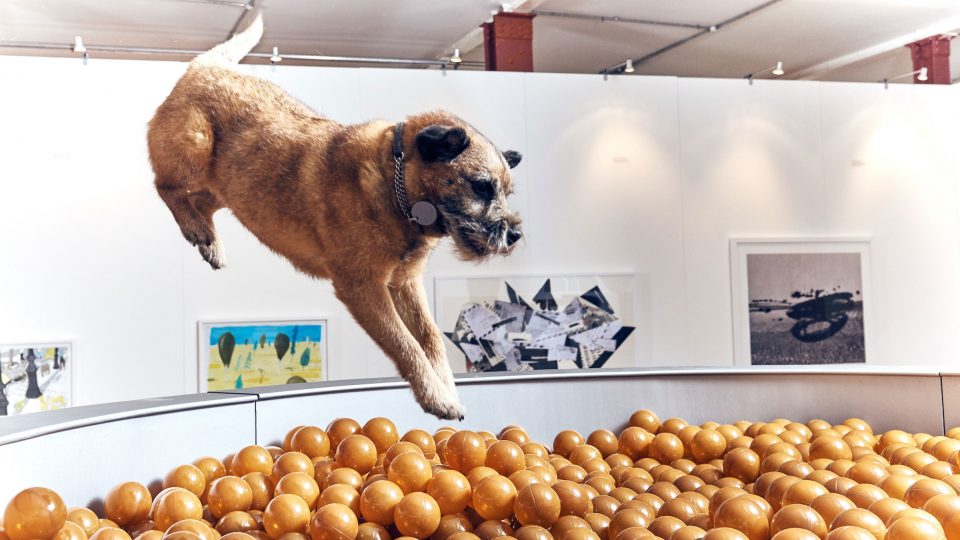 What Was The First Dog Ever Created