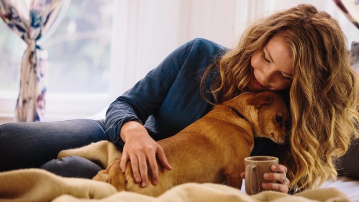 Getting Started Archives | The Dog People by Rover.com