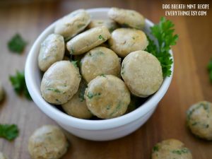 7 Homemade Mint Dog Treats for Fresh Doggy Breath | The Dog People by ...