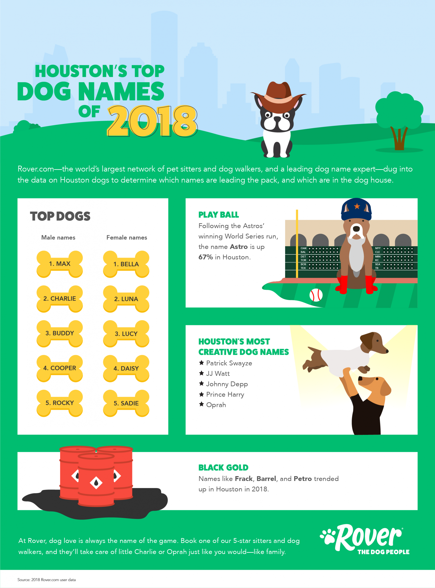 Houston's Top Dog Names of 2018 | The Dog People by Rover.com