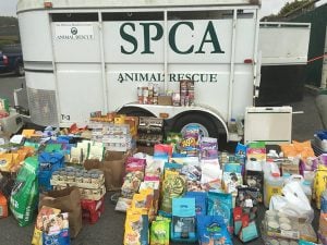 How Pet Food Banks Work and How You Can Help | The Dog People by Rover.com