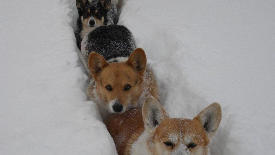 BRING BACK MATT! The DFO Interview: Matt Ufford – [DOOR FLIES OPEN]