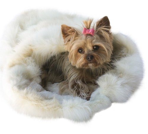 How to Have the Coziest Winter Ever with Your Dog | The Dog People by ...