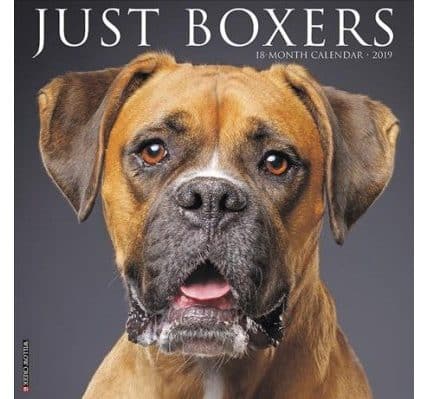 Boxer Dog Gifts | 19 Gifts for Boxer Dog Lovers in 2018 | Rover.com
